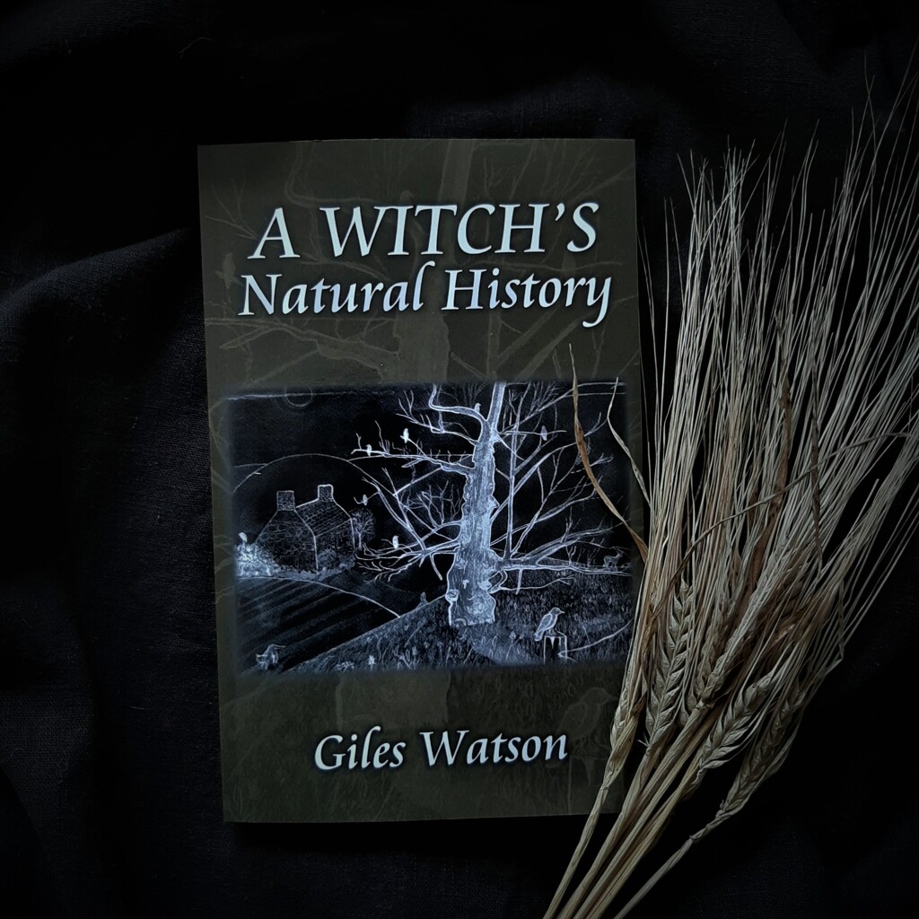 A Witches Natural History - Giles Watson | Webshop | VrouwenWijs